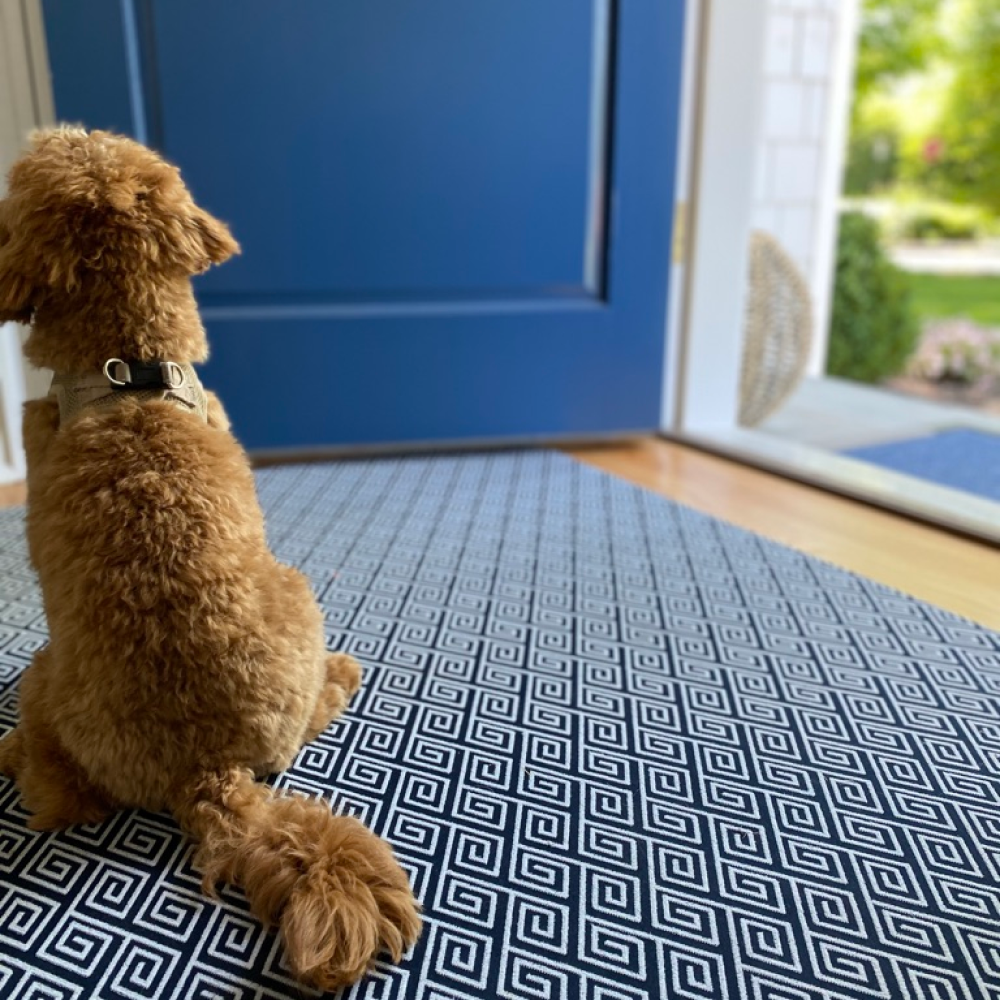 Stylish Doormats | Best Doormat | Modern Doormat | Mat Designer – Porte ...