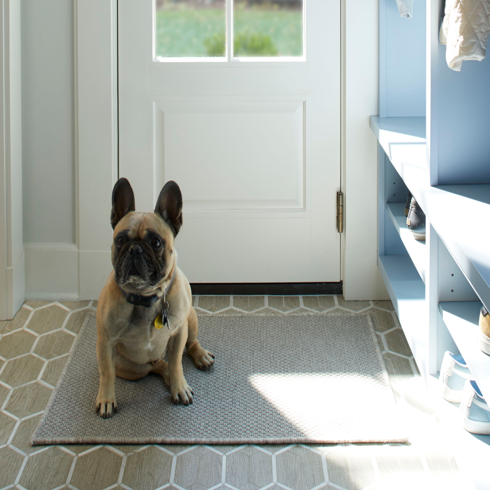 Stylish Doormats | Best Doormat | Modern Doormat | Mat Designer – Porte ...